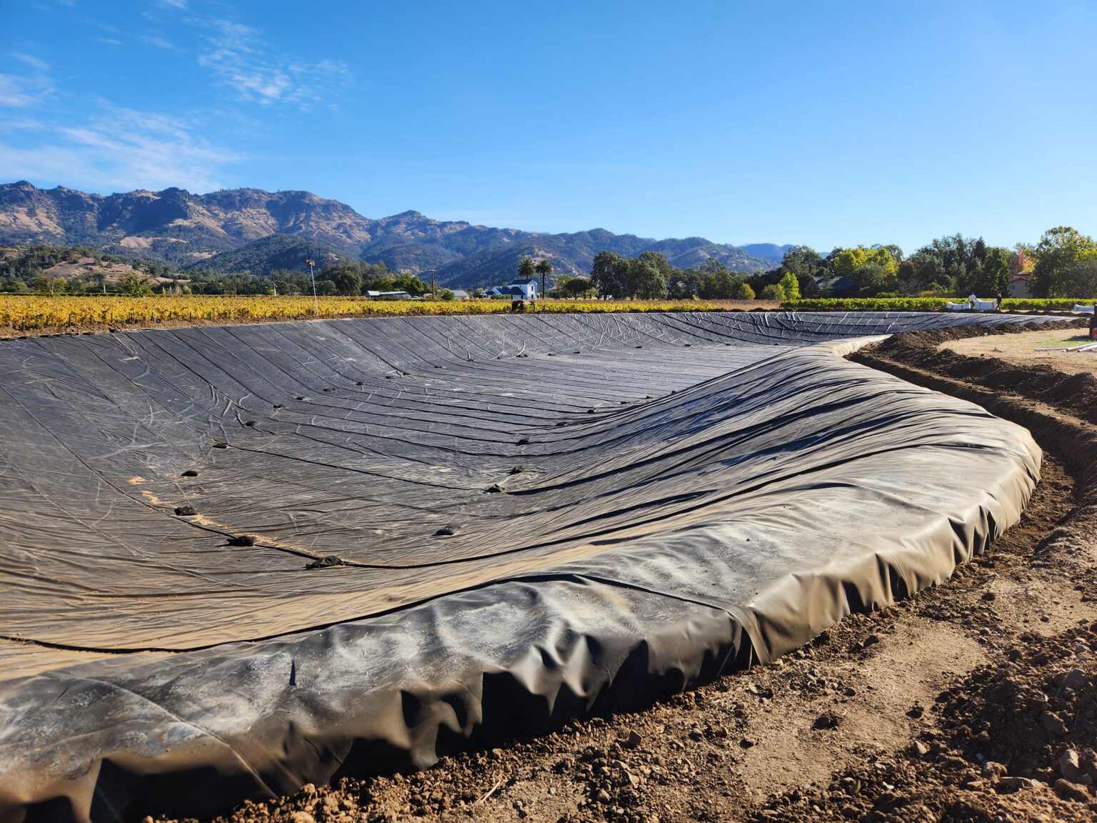 POND LINERS Archives - Carson Liners